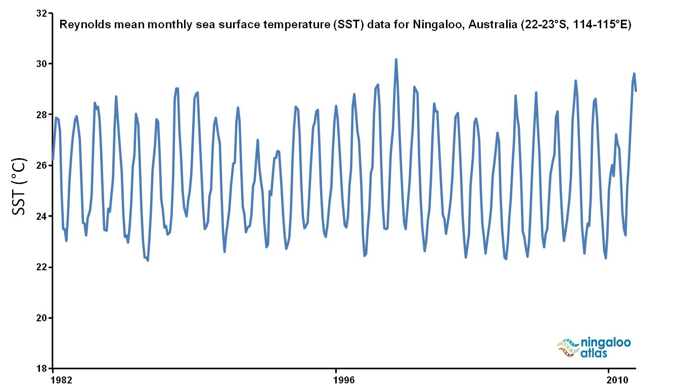 Ningaloo sea surface temperatures (SST) | Ningaloo Atlas
